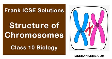 Frank Chapter Structure Of Chromosomes ICSE Solutions Class Biology
