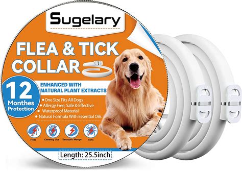 6 Migliori Collari Antiparassitari Per Cani La Guida Essenziale