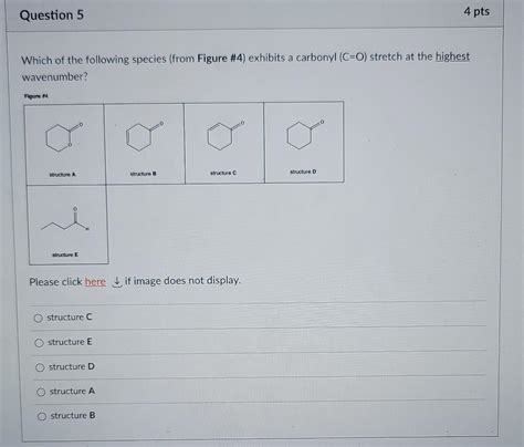 Solved Question 5 4 Pts Which Of The Following Species From