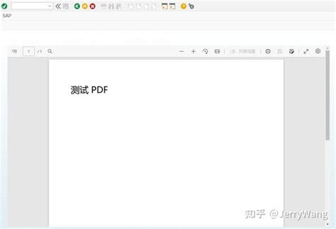如何在 Sapgui 里显示上传到 Abap 服务器的 Pdf 文件 知乎