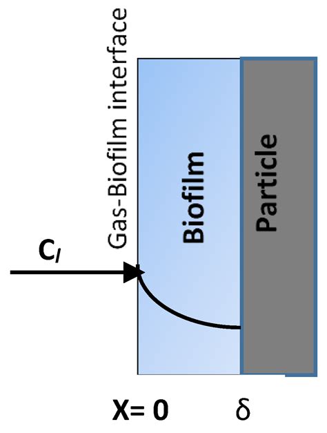 Development And Validation Of A Practical Model For Transient Biofilter Performance