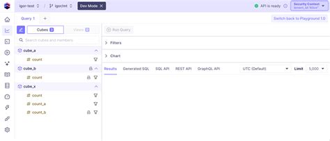 Providing A Custom Data Model For Each Tenant Cube Docs