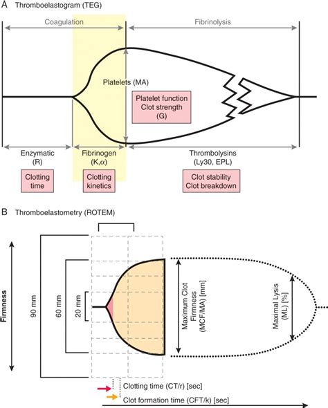Coagulation And Coagulopathy Musculoskeletal Key