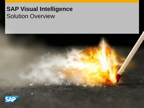 Pdf Sap Visual Intelligence Websmp210sap Agdesapidp · Sap