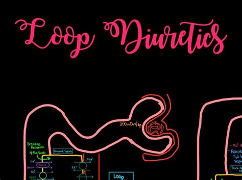 Diuretics Carbonic Anhydrase Inhibitors Loop Diuretics Thiazide Diuretics Potassium Sparing