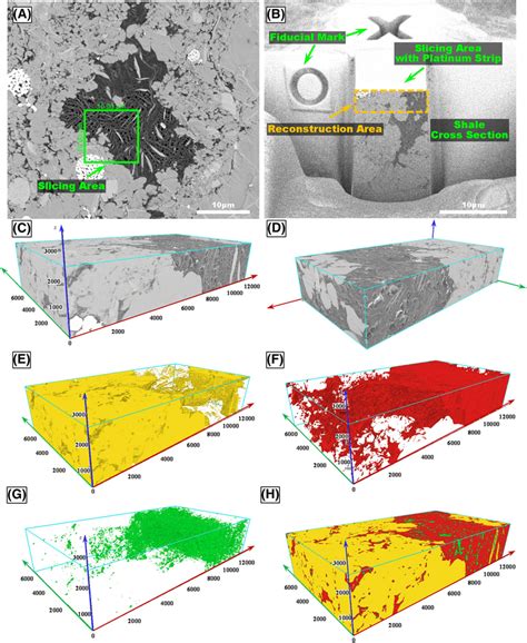 Three Dimensional 3 D Reconstruction Of The Mineral Matrix And Download Scientific Diagram