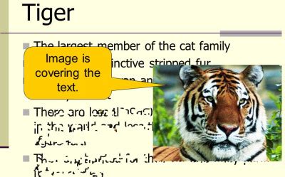 Goon Tumblr Com Tumbex