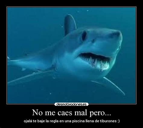 No Me Caes Mal Pero Desmotivaciones