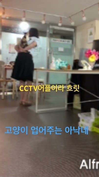 불효녀 늙은애미 업어키운냥이 꼬부랑 나이많은애미 언제효도할래 땡깡부리는딸 어여자자 Youtube