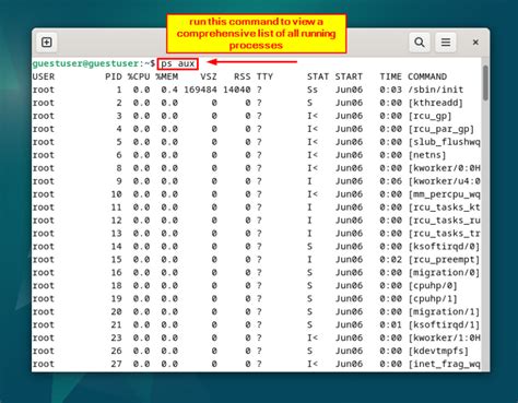 How To Kill A Process On Linux Command Line Best Methods