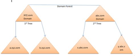 Basic Info About Active Directory Domain Services
