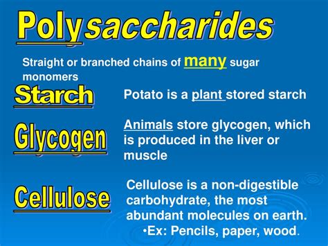 Unit 3 Biochemistry Ppt Download