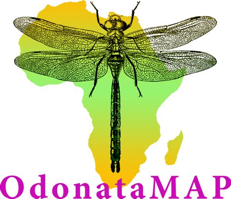 Download [inmage Size Reduced] Png Image With No Background