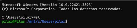 Codegpt Wls And Ollama Some Users Ask Us If Its Possible To By