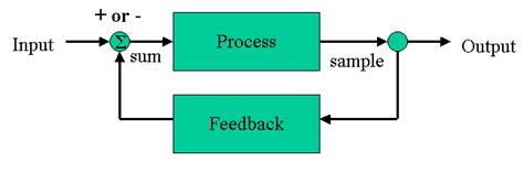 Feedback Loops