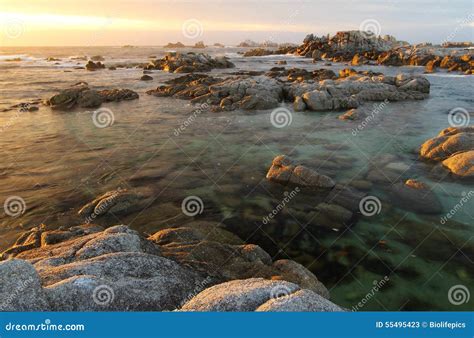 Asilomar State Park Beach Near Monterey California Usa Stock Image
