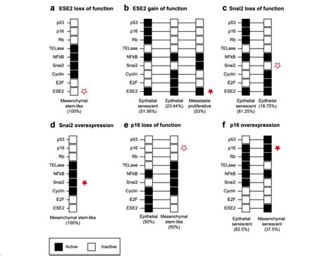 Predicted Attractors Of Loss And Gain Of Function Mutants Of The Grn Download Scientific