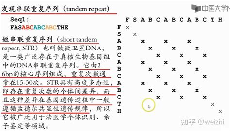 山东大学生物信息学学习笔记3 双序列比对 知乎