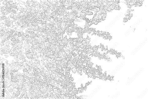 Tree Abstratc Line Vector Pattern Texture Interior Background Line