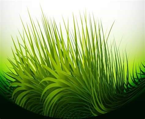 Abstract Green Grass Bright Vector Illustration Vectors Graphic Art