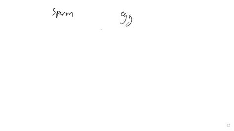 SOLVED Make A List Of Human Female Reproductive Structures And Their Function Role Make List