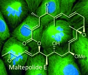 Isolation Structure Elucidation And Biological Activity Of