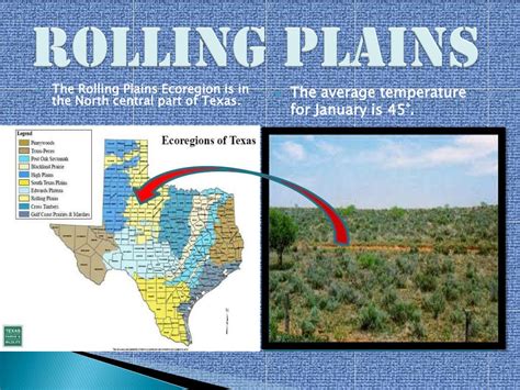 Ppt Ecoregions Of Texas Powerpoint Presentation Free Download Id