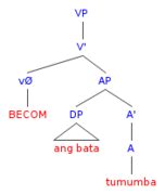 Category Lexical Semantics Wikimedia Commons