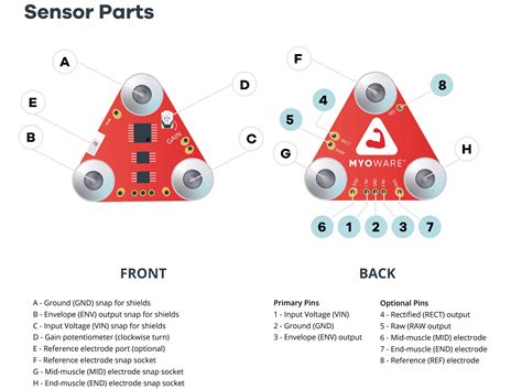 Advanced Muscle Sensing With Sparkfun Myoware 20 Wireless Shield