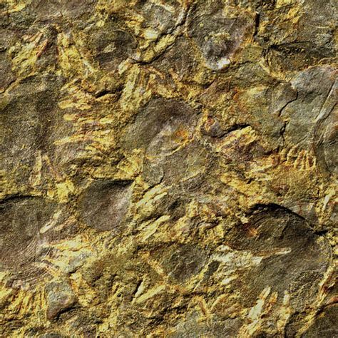 Zhifei Zhang Professor Full Northwest University Xian