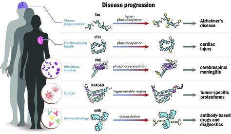 The Human Proteoform Project Defining The Human Proteome