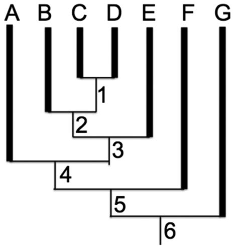 Bio 201 Unit 4 Test Flashcards Quizlet