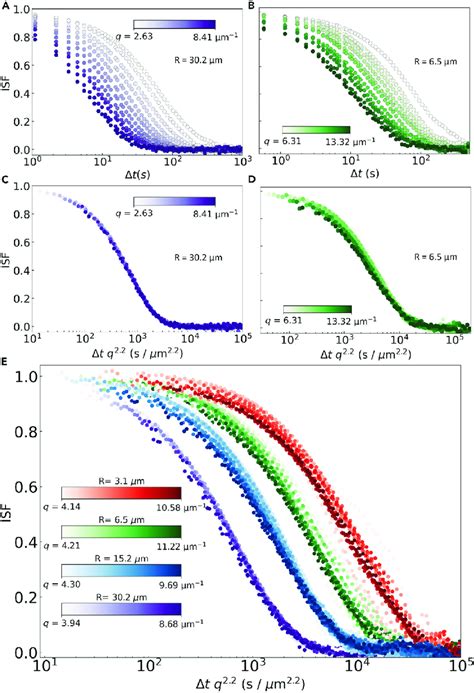 Collapse Of Isfs Reveal Subdiffusive Dynamics Of Large Dna Molecules In Download Scientific