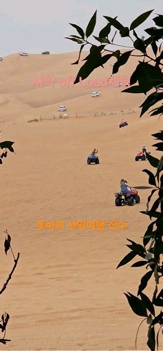 두바이여행 4탄 사막여행 진수 사막투어 사막오프로드체험 사막체험 Youtube