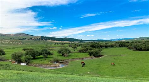 Дархан зулзагын гол зуслангийн зарын групп Darhan Zulzagiin Gol Zar