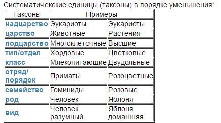 Установите последовательность расположения систематических таксонов ...