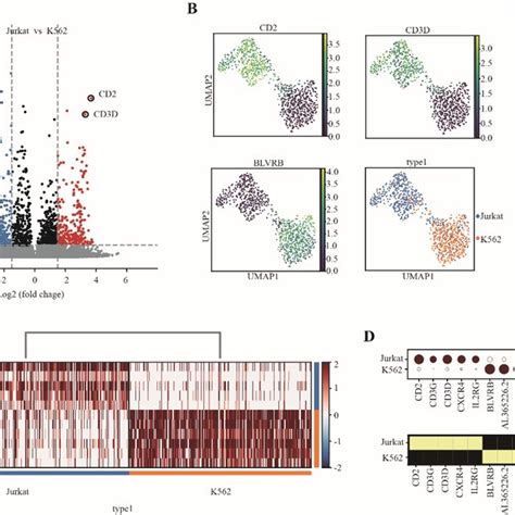 Validation Of The Screening Platform Based On The Jurkat Reporter Download Scientific Diagram