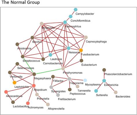 Network Analysis Of Salivary Microbiota Using Sparcc Correlation