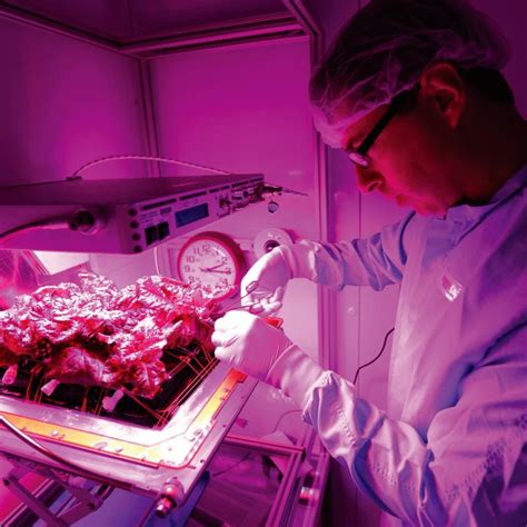 Lumileds On Linkedin Led