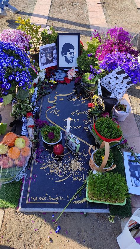 بچه ببر Aboutrebel Twitter