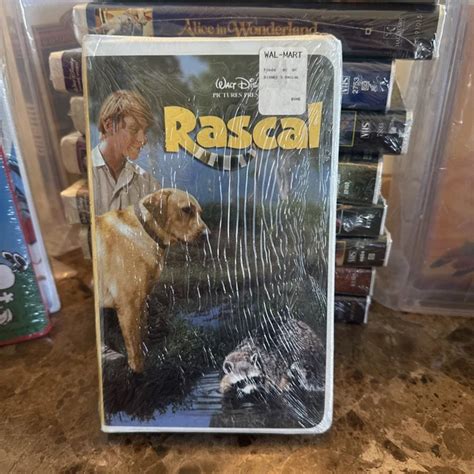 Disney Rascal Cgc Ready Rare Red Buena Vista Seal 🔥 £1770 Picclick Uk