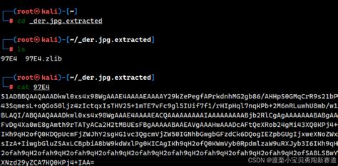 ctf杂项之图片隐写（一）（渡栗的学习笔记） ctf exif csdn博客