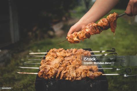 낮에는 뒤뜰에서 훈제 돼지고기를 곁들인 바비큐를 손으로 굽는 남자 가족 저녁 식사 야외 스타일 바베큐 활동 Barbecue Social Gathering에 대한 스톡