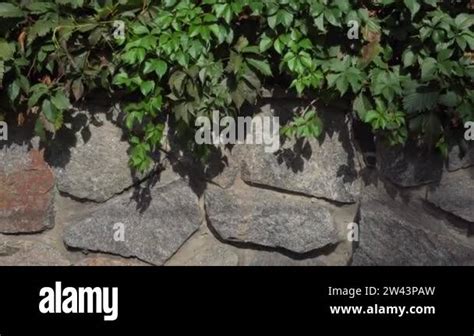 Texture Fence Stock Videos And Footage Hd And 4k Video Clips Alamy