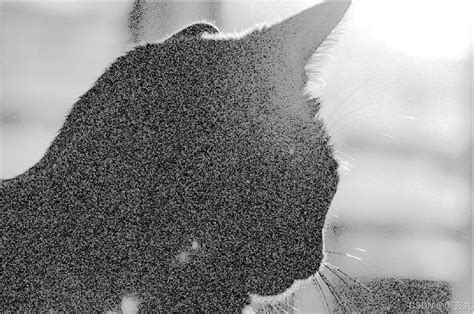 计算机视觉图像点运算【灰度直方图均衡化图形界面实操理解 代码】 Csdn博客