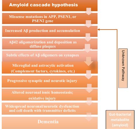 Amyloid Cascade Hypothesis Proteolytic Processing Of App With