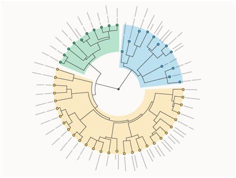 Severino Ribecca On Linkedin Chart Snapshot Circular Dendrograms Dataviz Catalogue Blog