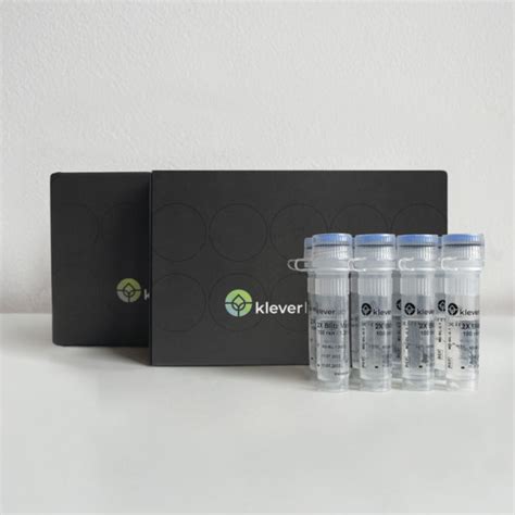 Phi29 Dna Polymerase