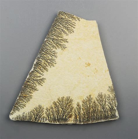 Dendrite Slab Manganese And Iron Dendrites