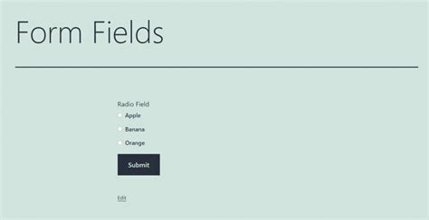 JetFormBuilder Plugin WordPress Radio Field Overview Crocoblock